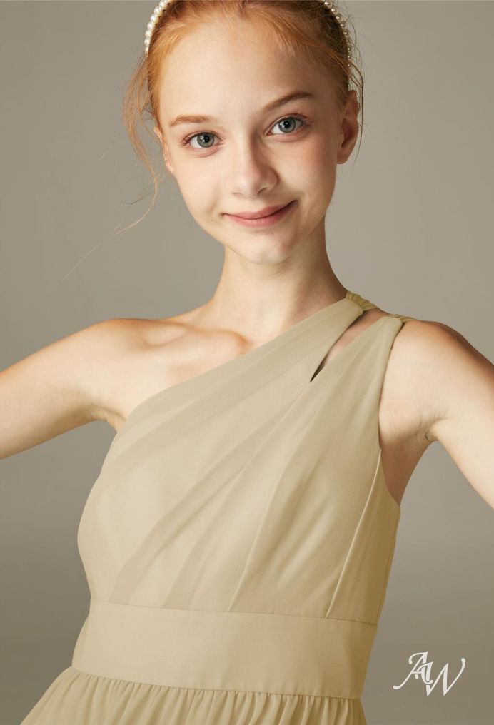 AW Katafront Dress, Biscotti Chiffon Floor Length One Shoulder ...