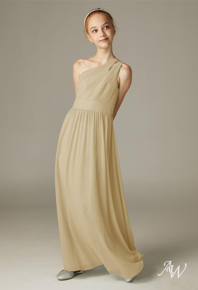 AW Katafront Dress, Biscotti Chiffon Floor Length One Shoulder ...