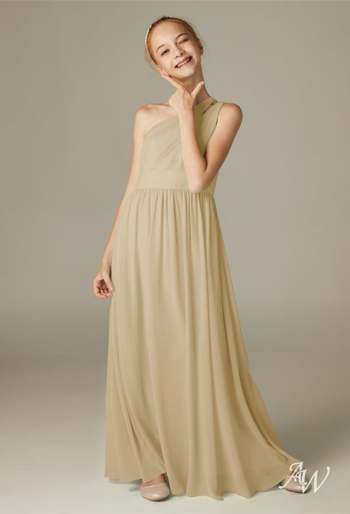 AW Katafront Dress, Biscotti Chiffon Floor Length One Shoulder ...