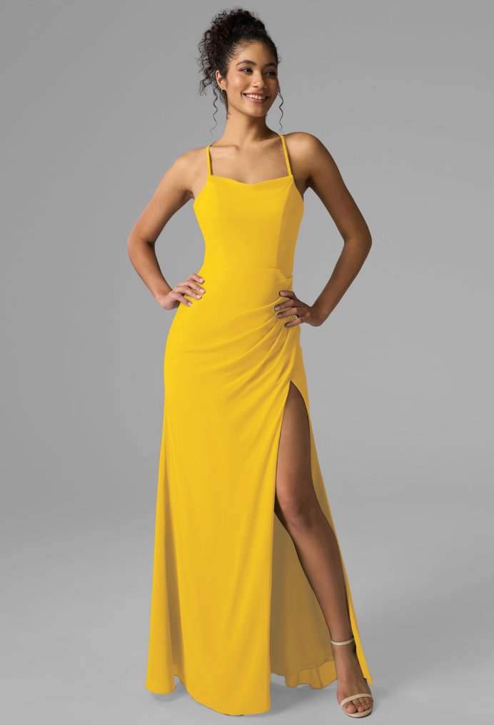 AW Denise Dress, Verdant Wilds Chiffon Ankle Length Sweetheart Neckline ...